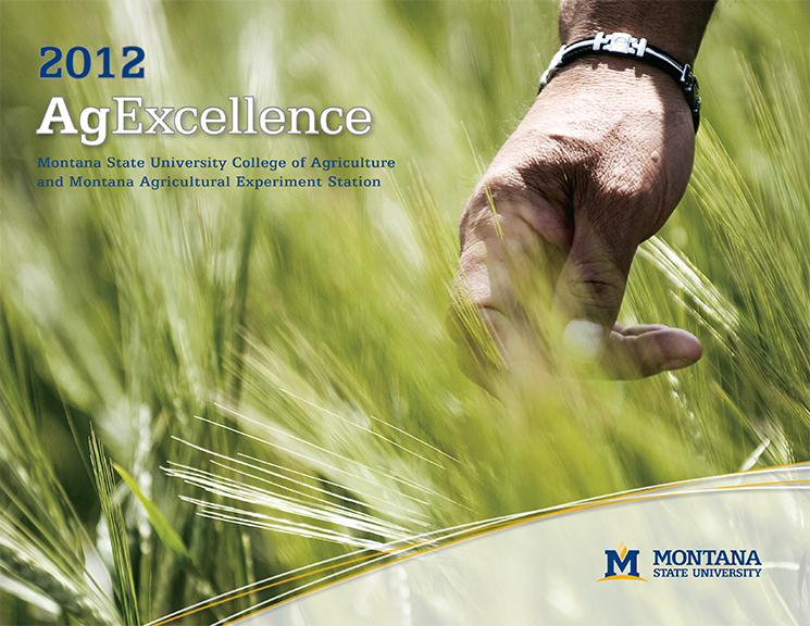 MSU Brand Guide - MSU Brand Guide | Montana State University